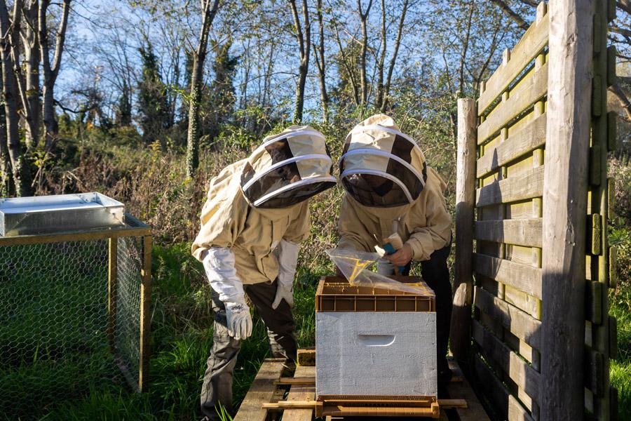 8 Intelligences | International Montessori Schools