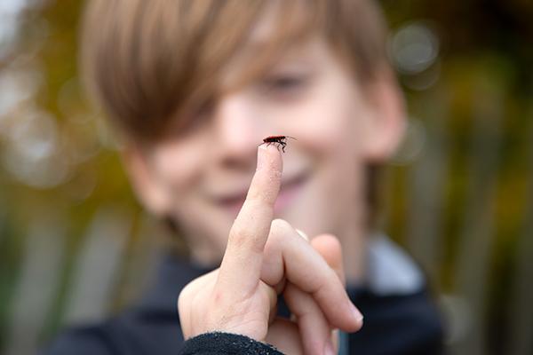 8 Intelligences | International Montessori Schools