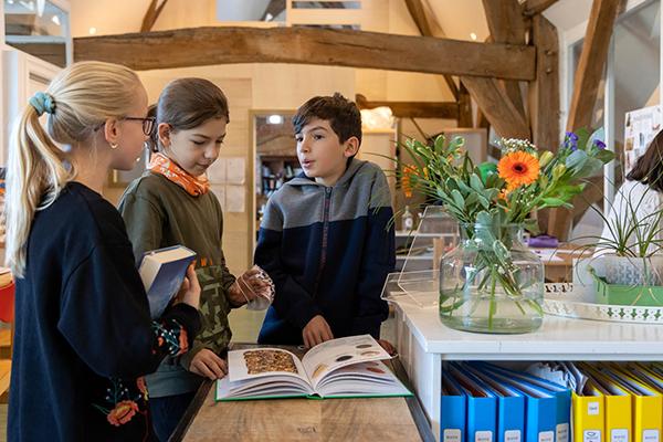 International Baccalaureate (IB) Secondary Education MYP